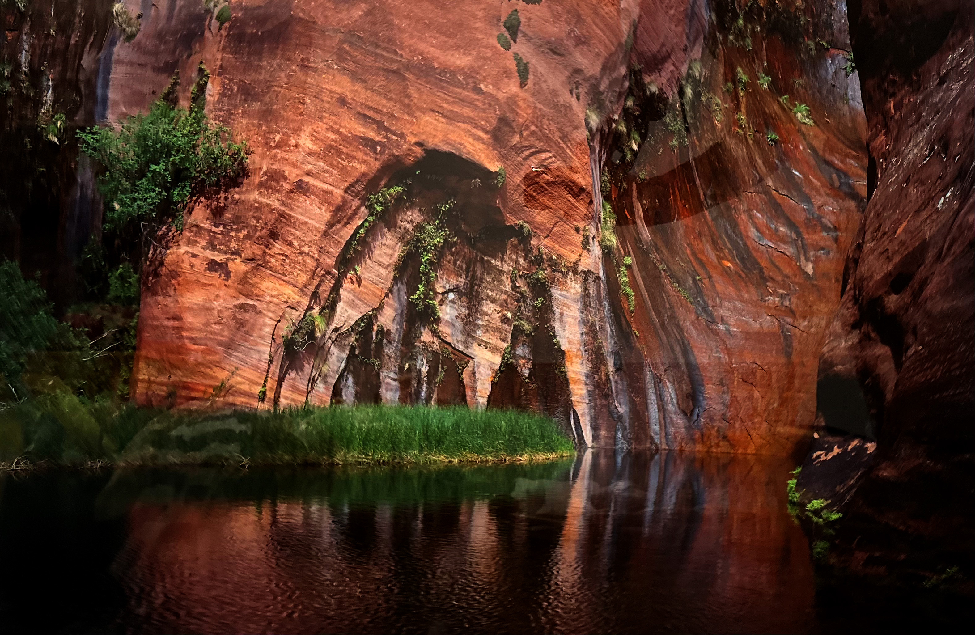 Phillips Gallery Artists Gallery